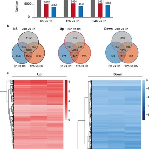 Overview Of The Transcriptome Data A Transcriptome Assembly And
