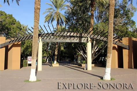 Discover The Border City Of San Luis Rio Colorado Mexico Explore Sonora