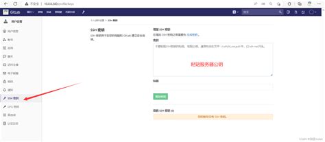 【运维知识高级篇】一篇文章带你搞懂gitlab基础操作（安装部署汉化代码推送分支合并保护主分支gitlab备份）gitlab汉化