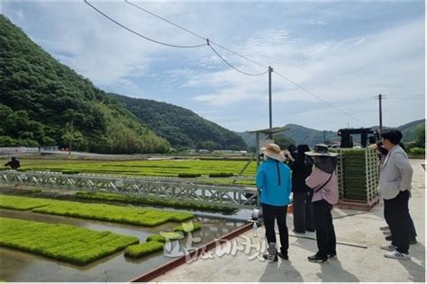 화순군 벼 육묘상자 자동이송 신기술 선봬