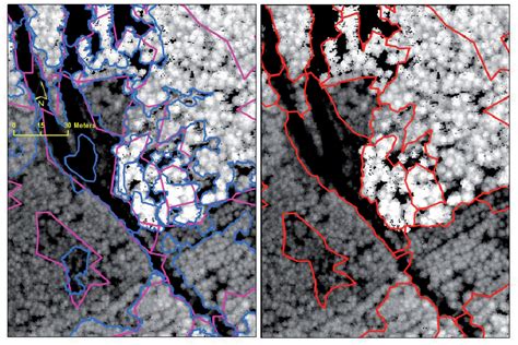 Figure 3 From The Assessment Of Forest Parameters By Combined Lidar And Satellite Data Over
