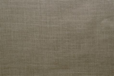 Kale Bamboo Taylor King