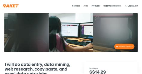 i will do data entry data mining web research copy paste and excel
