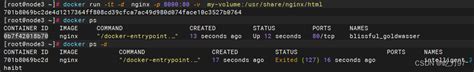 docker一运行容器就退出：已解决 docker运行java项目时自动退出 csdn博客