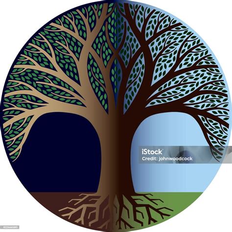Иллюстрация Вектора Темного И Светлого Дерева — стоковая векторная графика и другие изображения