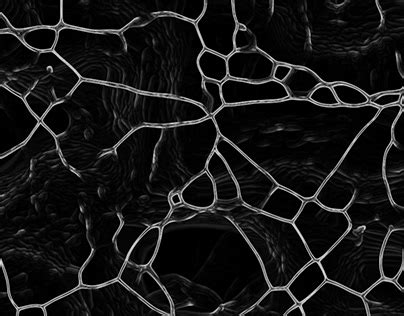TouchDesigner Noise Projects Photos Videos Logos Illustrations And Branding On Behance