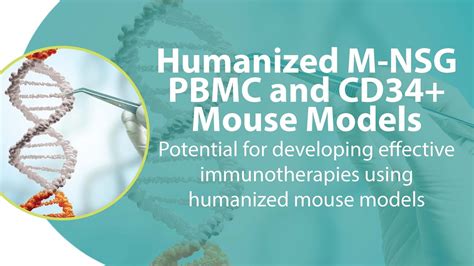 Humanized M Nsg Pbmc And Cd34 Mouse Models 2023 Applied Stemcell Inc Youtube