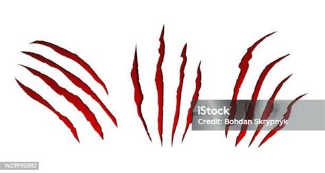 빨간 발톱 자국 소름 끼치는 괴물이 남긴 표면에 피 묻은 흠집이 난다 가시에 대한 스톡 벡터 아트 및 기타 이미지 가시
