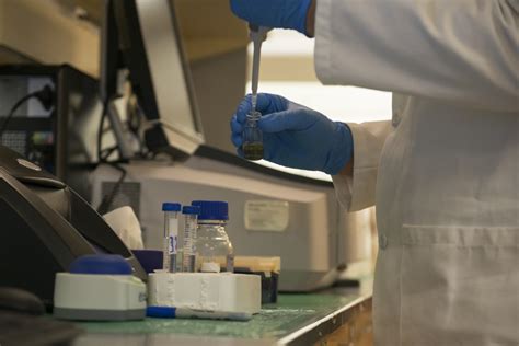 Researchers Hope To Improve Food Safety With New Bacteria Detection