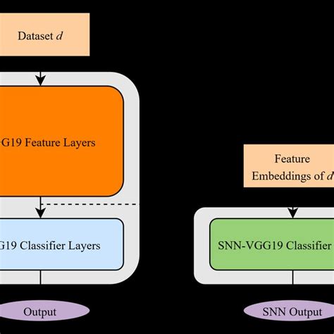 representation of the spiking neural network snn experimental setup