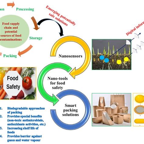 Graphical Representation Of Nanosensors Application In Agriculture And Download Scientific