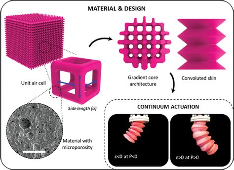 Novel Design Approach For Continuum Multidimensional Actuation By