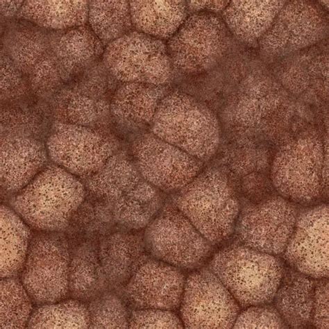 Infected Skin Pbr Texture