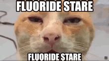 Fluoride Stare Meme Fluoride Stare Discover And Share S