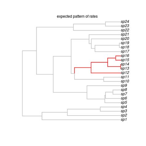 Showcasing The Latest Phylogenetic Methods AUTEUR Wainwright Lab