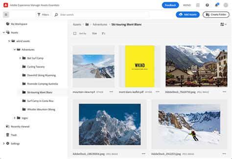 Ajo Vs Sfmc A Feature Comparison Credera