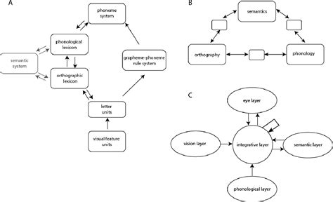 Figure 1 from WORD MEANING AND READING / 2 HOW WORD MEANING INFLUENCES WORD READING | Semantic ...