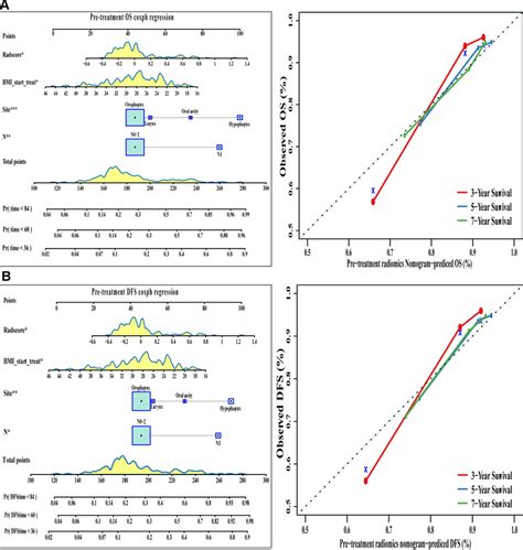 The Visualization Of Os And Dfs Survival Models Based On Pre Treatment Download Scientific