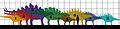 Categorykentrosaurus Size Comparisons Wikimedia Commons