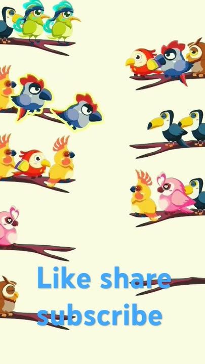 Ilazamsongshortvideo Bird🐦🕊️🕊️🕊️ Youtube