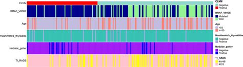 Heatmap Of The Top Five Significant Variables Identified Based On Lasso