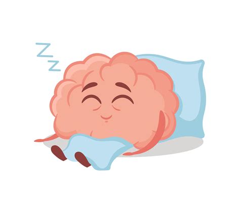 Brain Cells Behind Pre Sleep Behaviors Found Giving Hope To Insomniacs