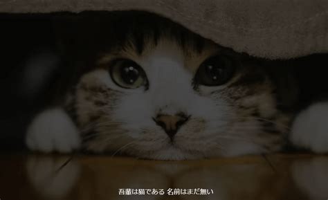 映画の字幕っぽいcssアニメーションサンプル 1 Notes