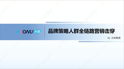 重代码产品文档介绍 品牌策略核心人群营销击穿 重代码应用相关信息介绍 极客文档