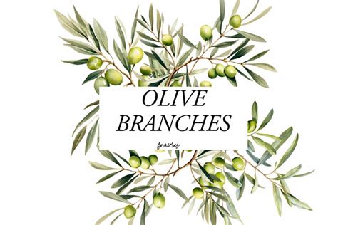 Green Olive Frames Watercolor Graphic Elements 2953915