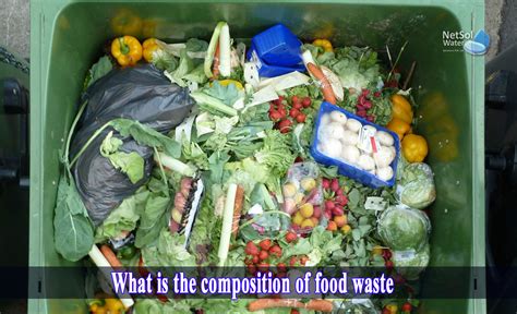 What Is The Composition Of Food Waste Netsol Water