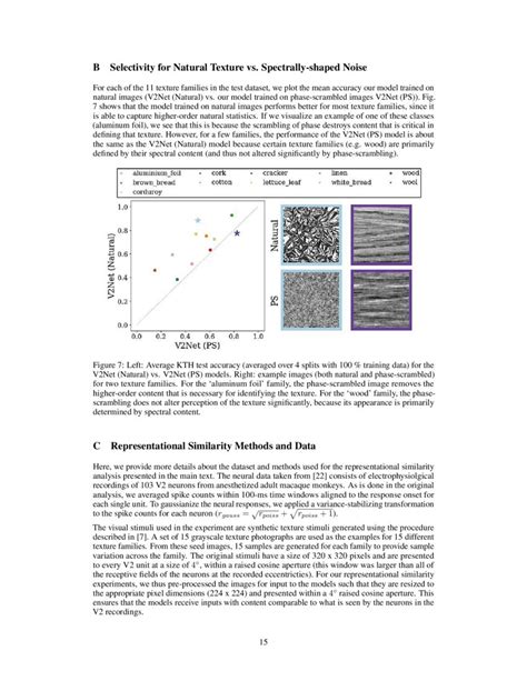 self supervised learning of a biologically inspired visual texture
