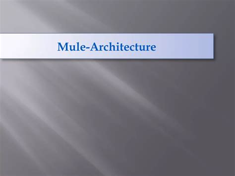 Mule Architecture Ppt