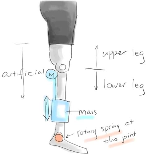 Passive Dynamic Walker Used In Rehabilitation Kevin Yang Portfolio