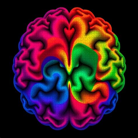 Single Cell Insights Into Mosaic Focal Cortical Dysplasia