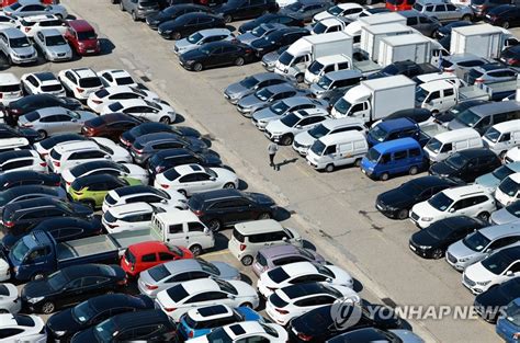 중고차 비수기 시작국산차 시세 미세상승·수입차 하락 나무뉴스