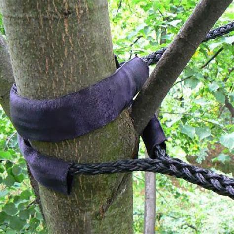 DC Sons Tree Service Tarpon Springs Holiday FL