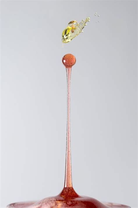 Reviews Pluto Trigger