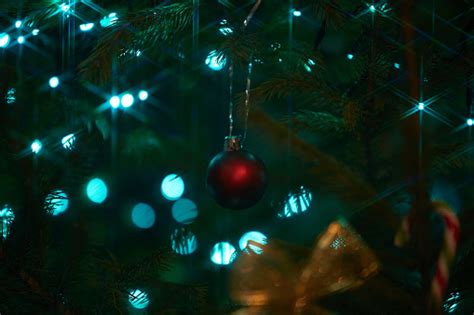 크리스마스 트리 장식과 사탕 달콤한으로 전나무 가지에 휴일 전기 파란색 화환을 닫습니다 크리스마스 트리의 가지에 매달려있는 사탕 지팡이 0명에 대한 스톡 사진 및 기타