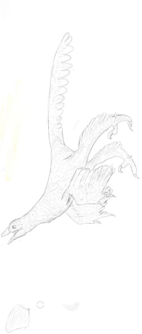 Give Me Critique On This Archaeopteryx Sketch On How To Make It More Detailed Scrolller