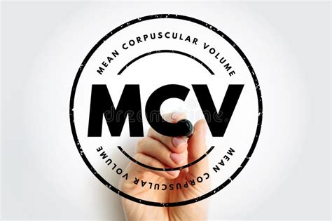 Mcv Mean Corpuscular Volume Measure Of The Average Volume Of A Red