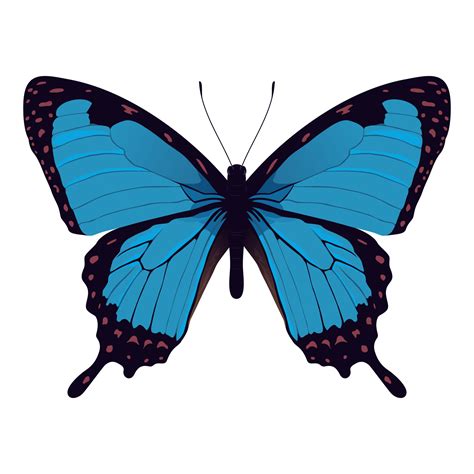Blue Morpho Butterfly Beautiful Insect Vector Illustration 17695140 Vector Art At Vecteezy