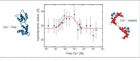 Figure 1 From Dual Focus Fluorescence Correlation Spectroscopy Semantic Scholar