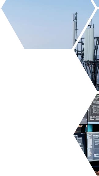 Dualgrid Shared Network Management