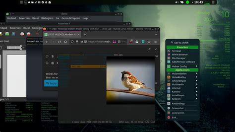 [test needed] modern picom config with blur and rounded corners mabox