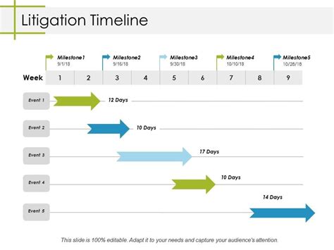 Litigation Timeline Ppt Powerpoint Presentation Icon Slides