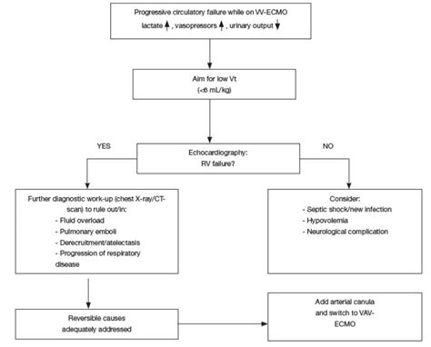 Velia Marta Antonini On Linkedin Right Ventricular Dysfunction On Vv