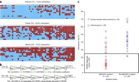 Dna Methylation Analysis Of D4z4 Repeats A Bisulfite Sequencing