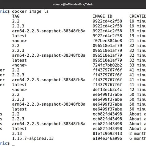 Hyperledger Fabric Docker Images On Raspberry Pi Download Scientific Diagram