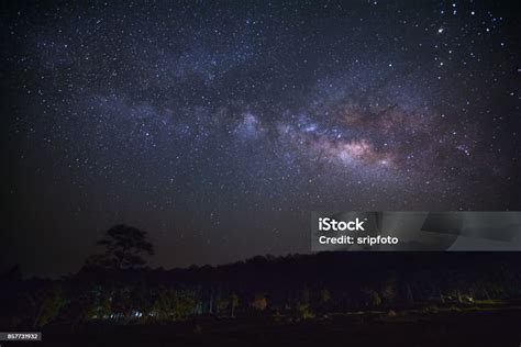 하 수와 푸 힌 롱 Kla 국립 공원 핏 사 눌 록 태국 긴 노출 Photographwith 곡물에 나무의 실루엣 0명에 대한