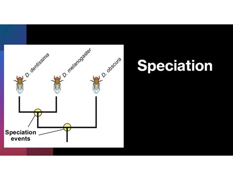 Understanding Speciation Concepts Evolution And Modes Biol101